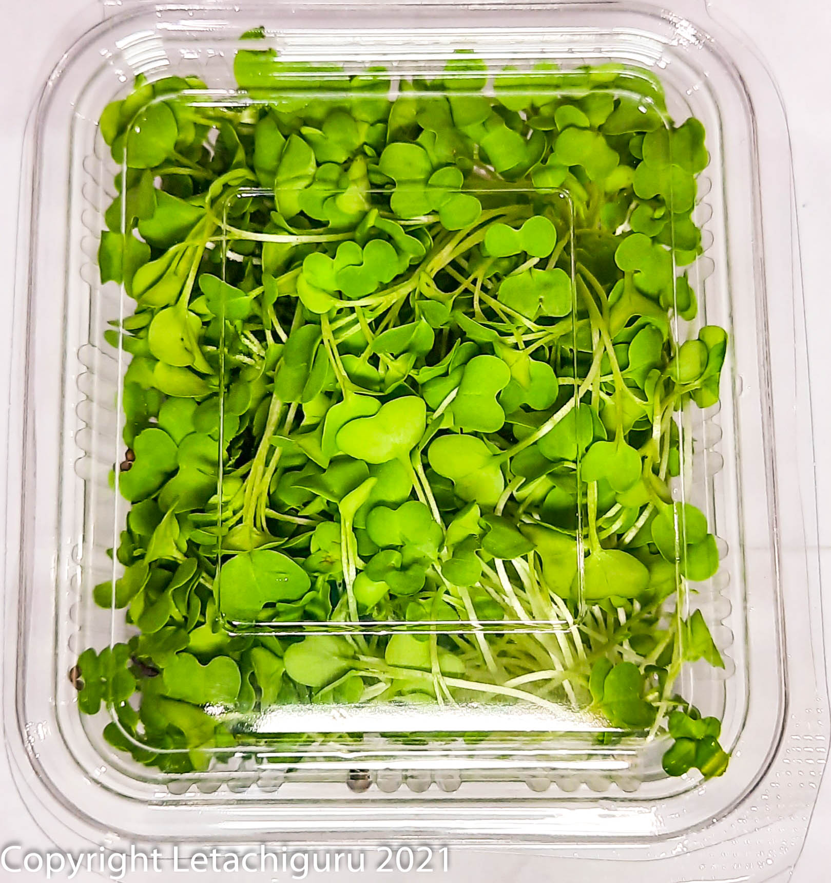 Green Mustard Microgreens 30gm – Letachiguru